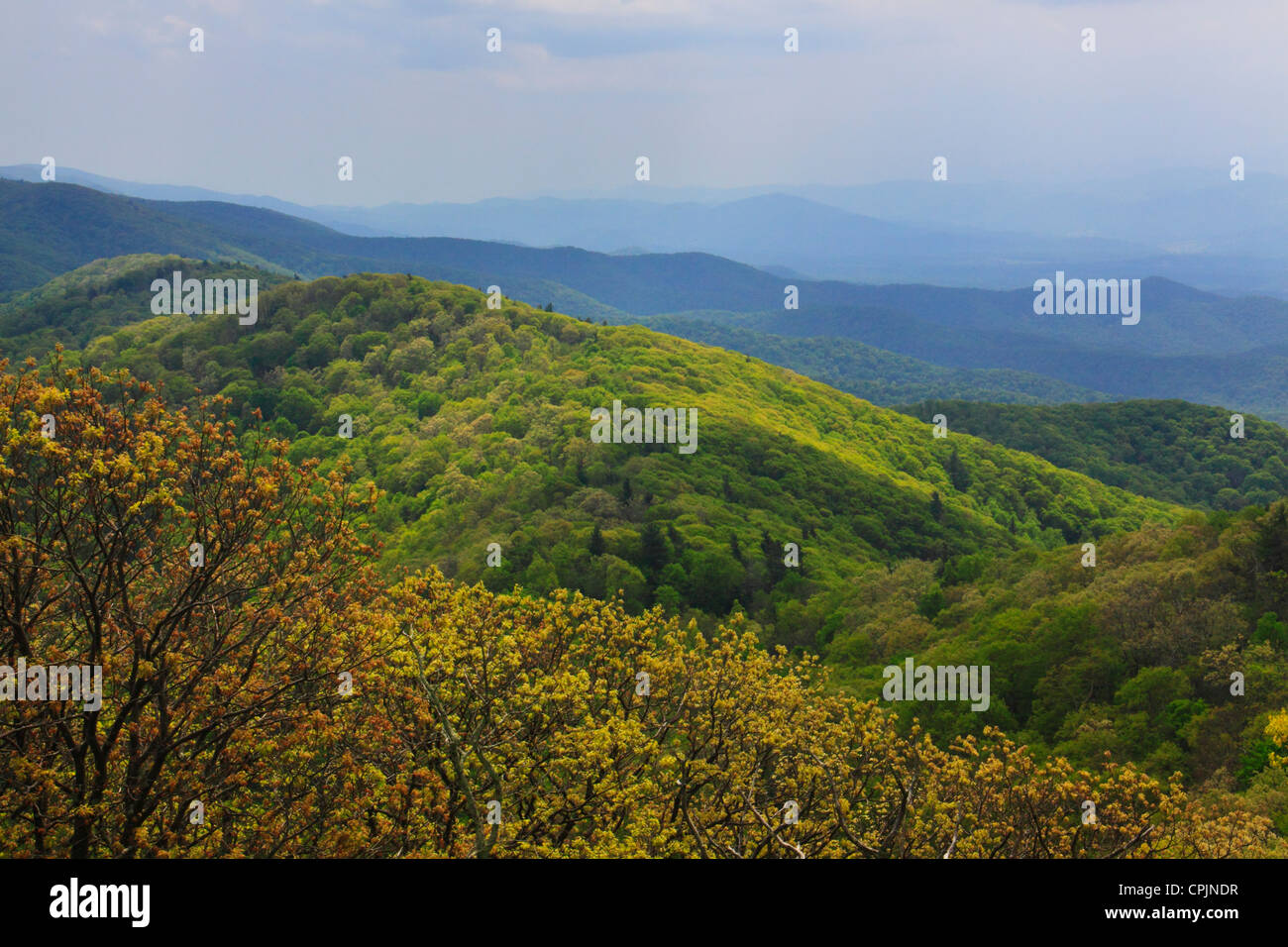 High Knob Trail, On Fire Tower in George Washington National Forest ...