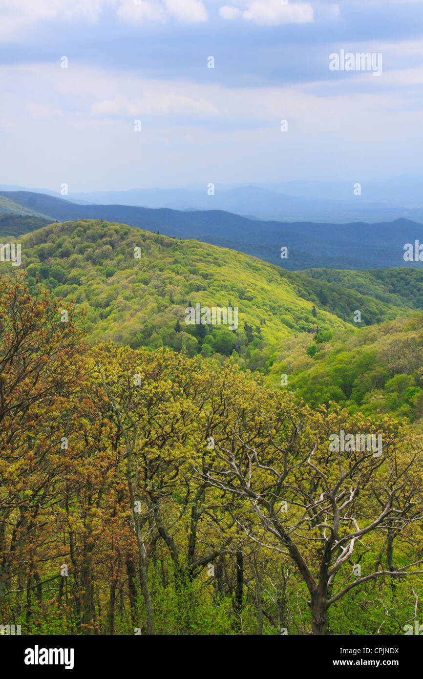 High Knob Trail, On Fire Tower in George Washington National Forest ...