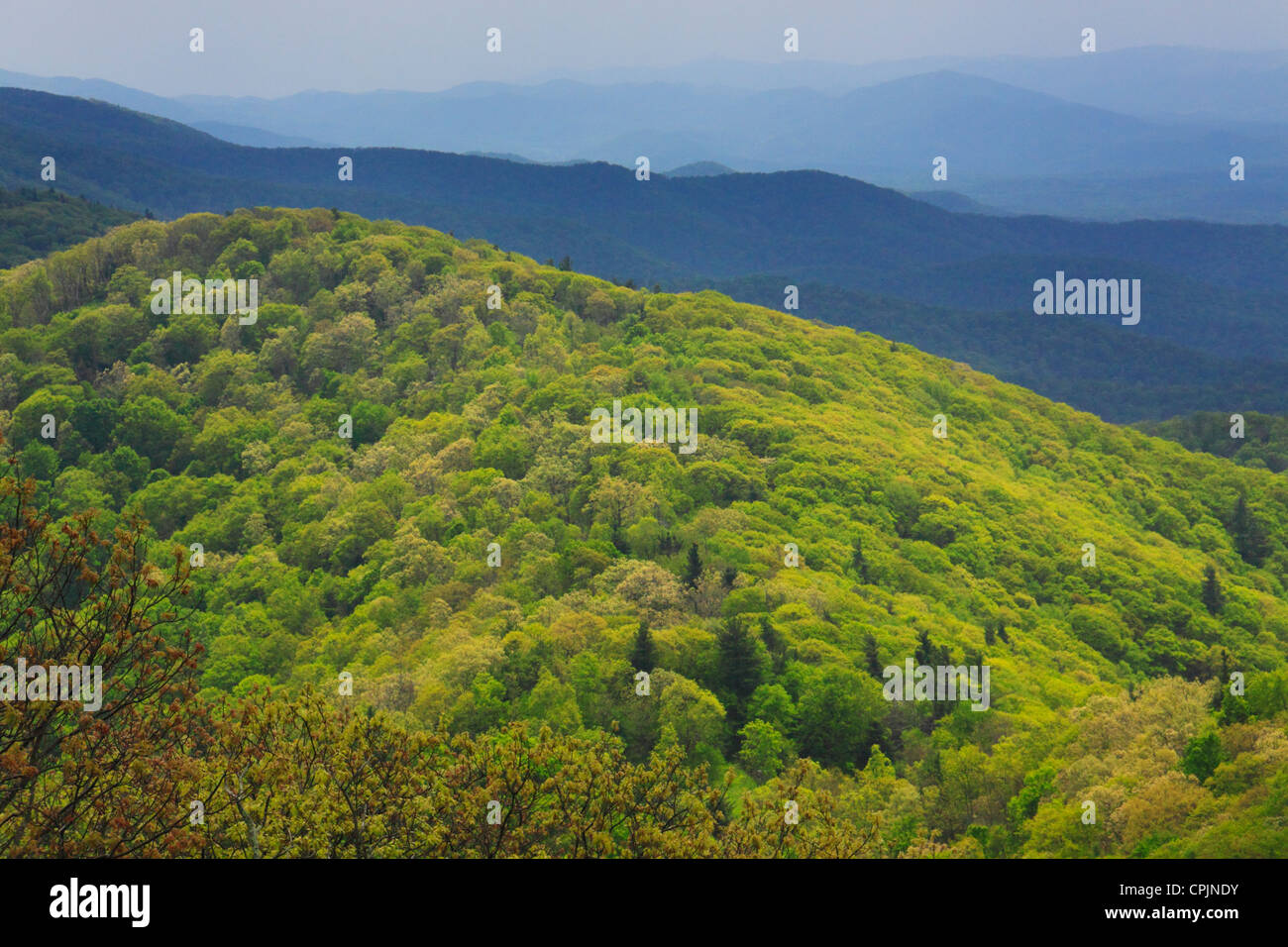 George washington national forest hi-res stock photography and images ...