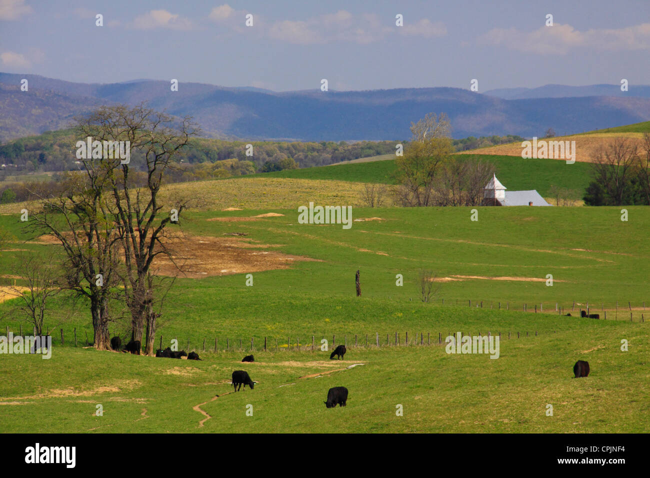 Spring valley farms hi-res stock photography and images - Alamy