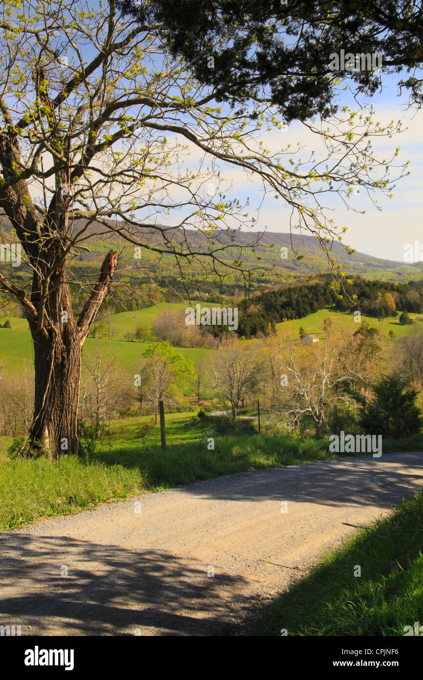 Road with tree and fences hi-res stock photography and images - Alamy