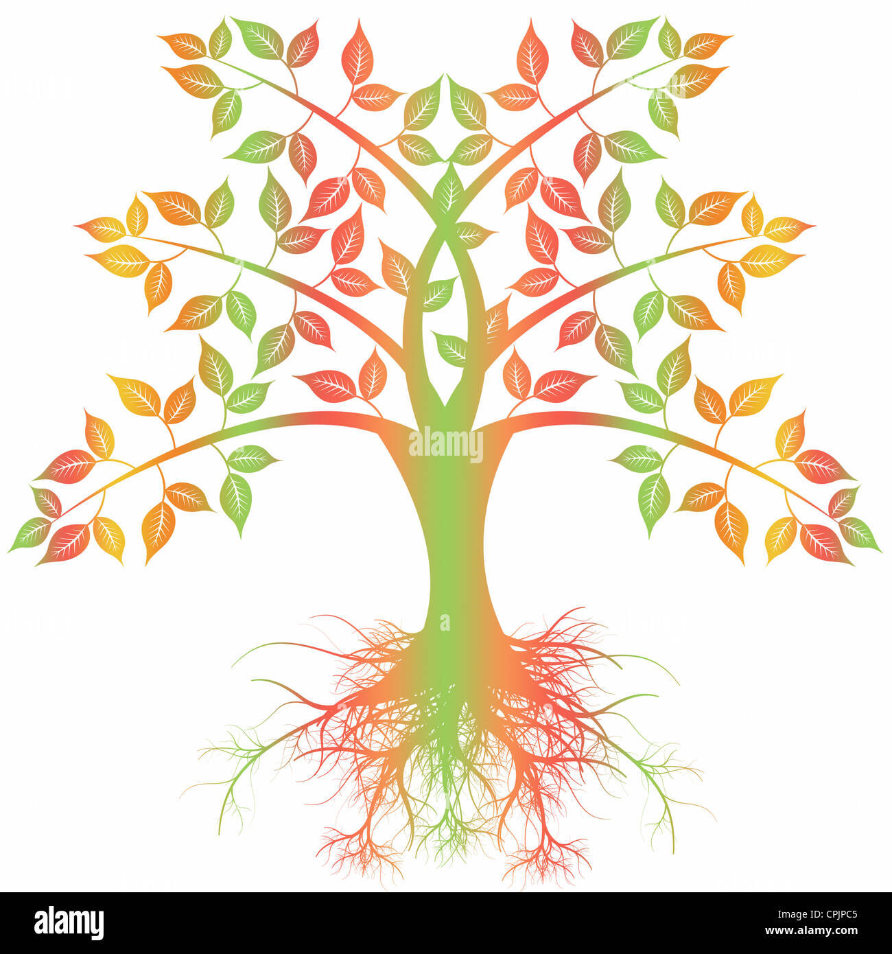 Colorful art tree isolated on white background Stock Photo - Alamy