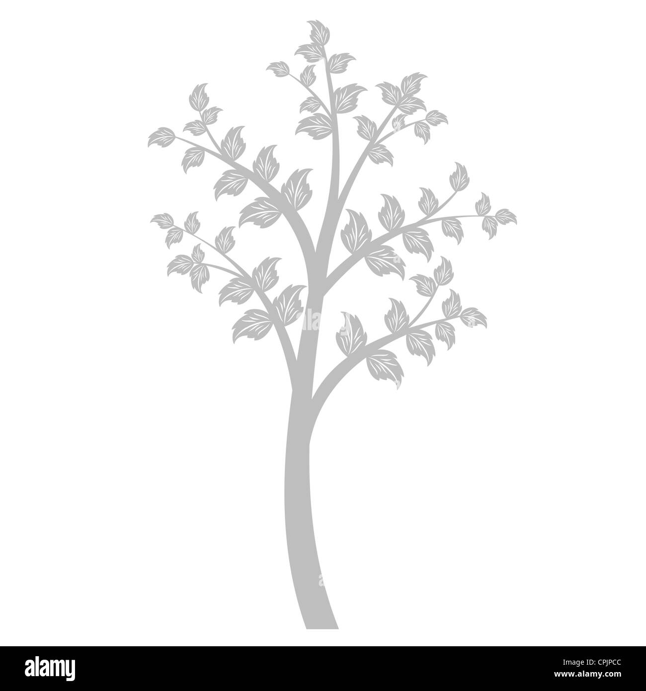 Beautiful art tree isolated on white background Stock Photo - Alamy