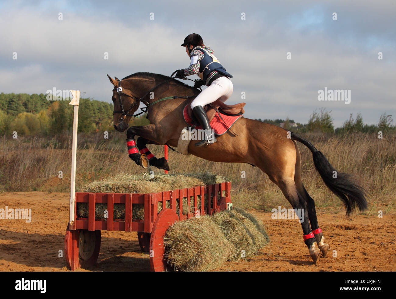 Horse rider jumps fence during hi-res stock photography and images - Alamy