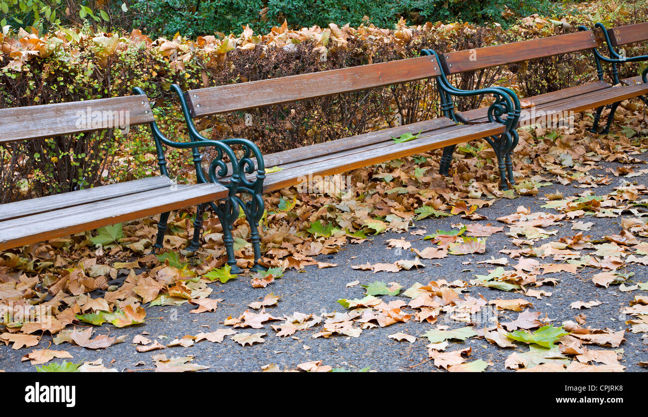 benches in Stadpark - Vienna Stock Photo - Alamy