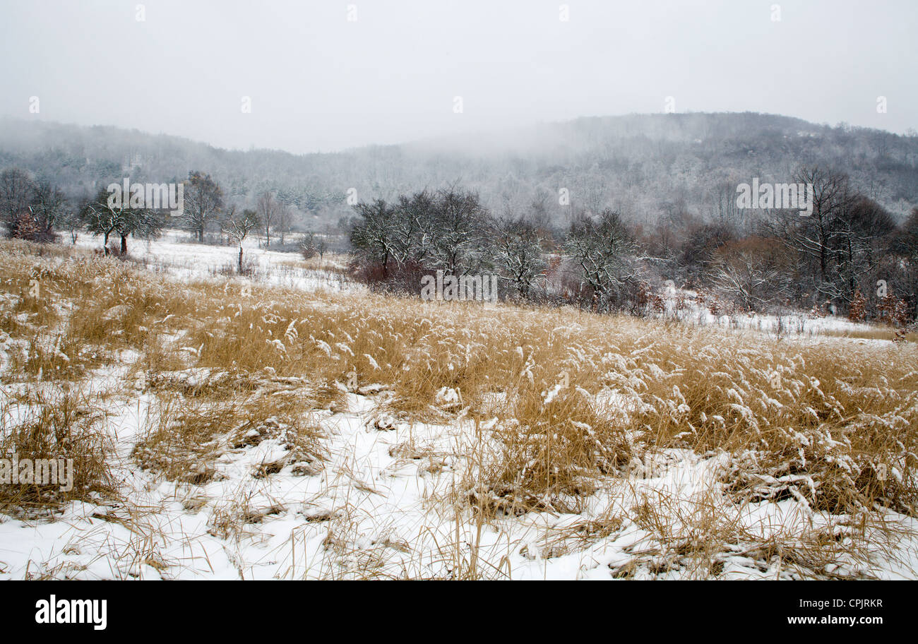 snowfall over landscape - Middle Slovakia Stock Photo - Alamy