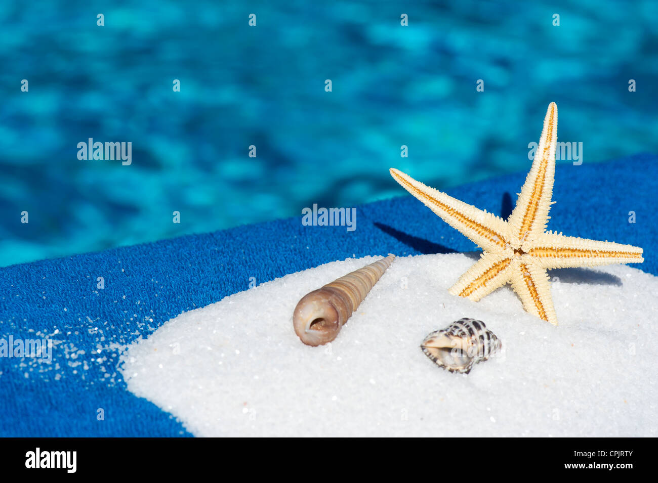 Shells and sea star with sand and towel near swimming pool Stock Photo ...