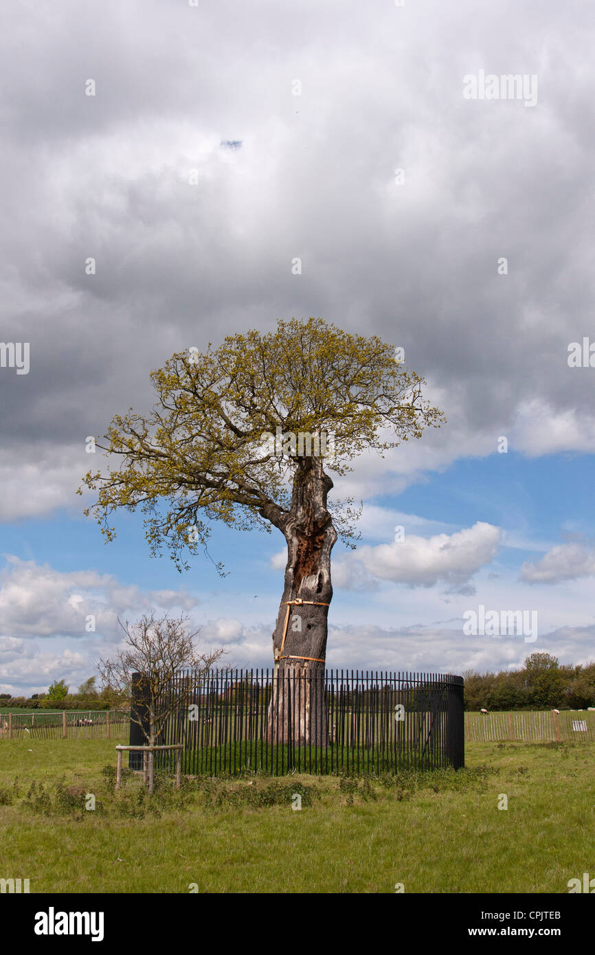 Royal oak boscobel house shropshire hi-res stock photography and images ...