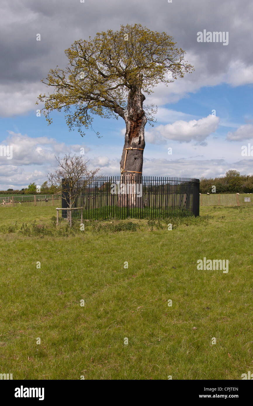 Royal oak boscobel hi-res stock photography and images - Alamy