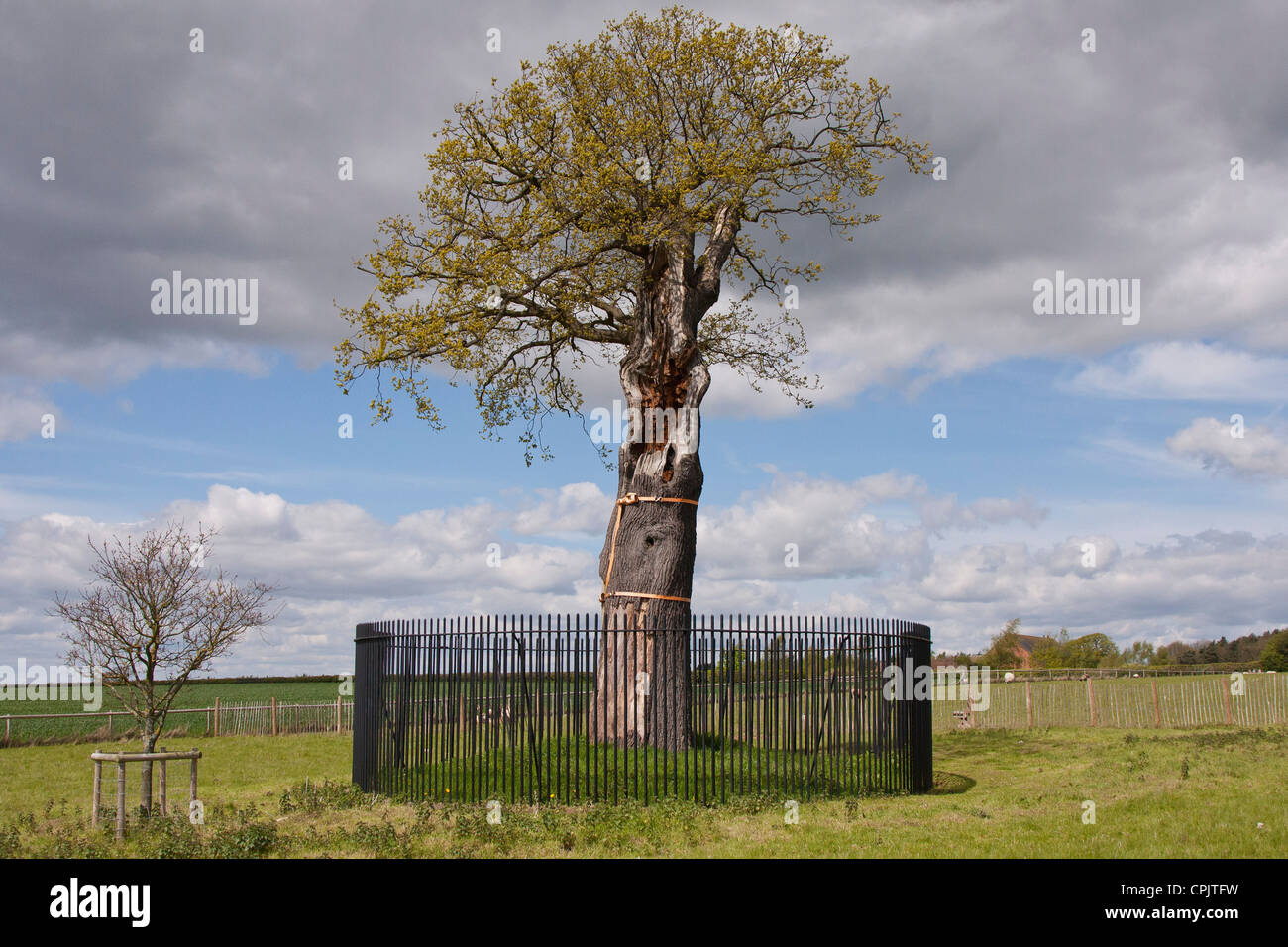 An image of 'The Royal Oak' at Boscobel House, Shropshire, where King ...