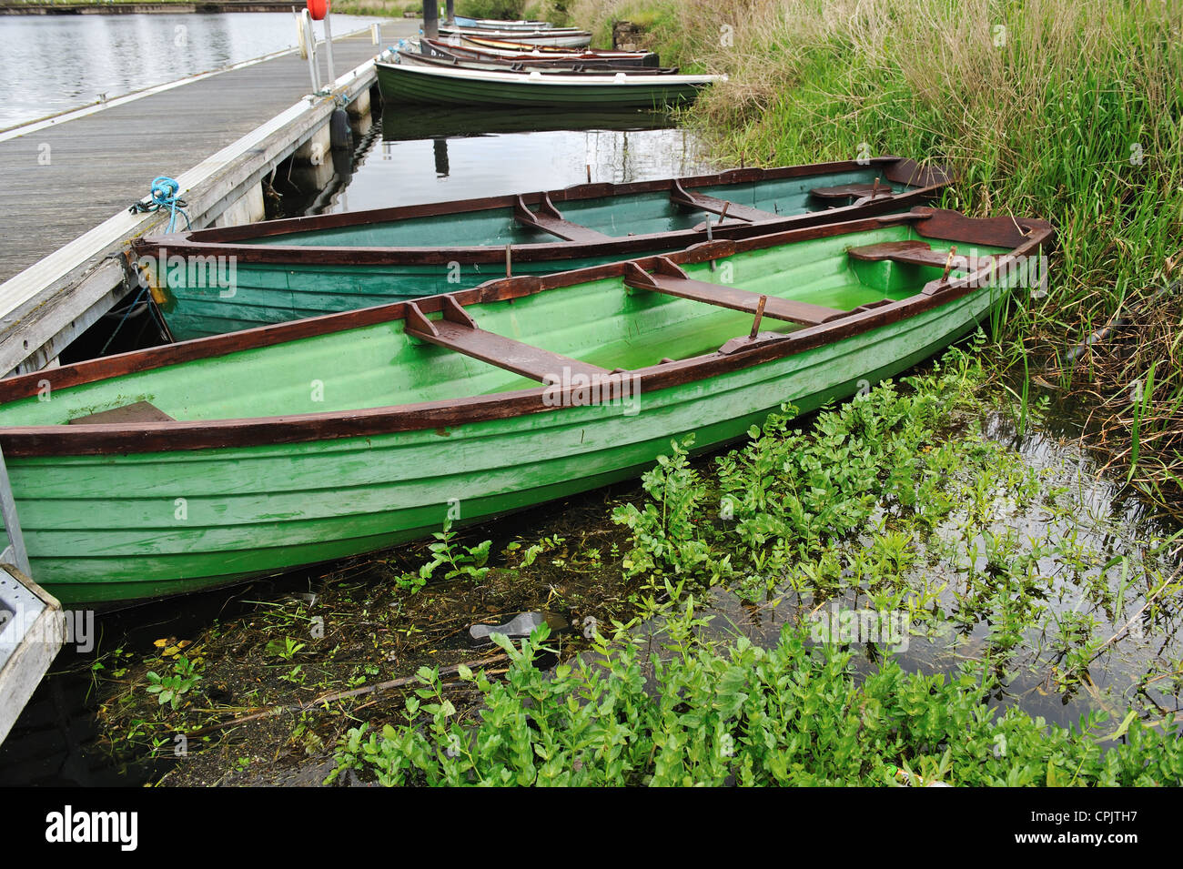 View lake small jetty woods hi-res stock photography and images - Alamy