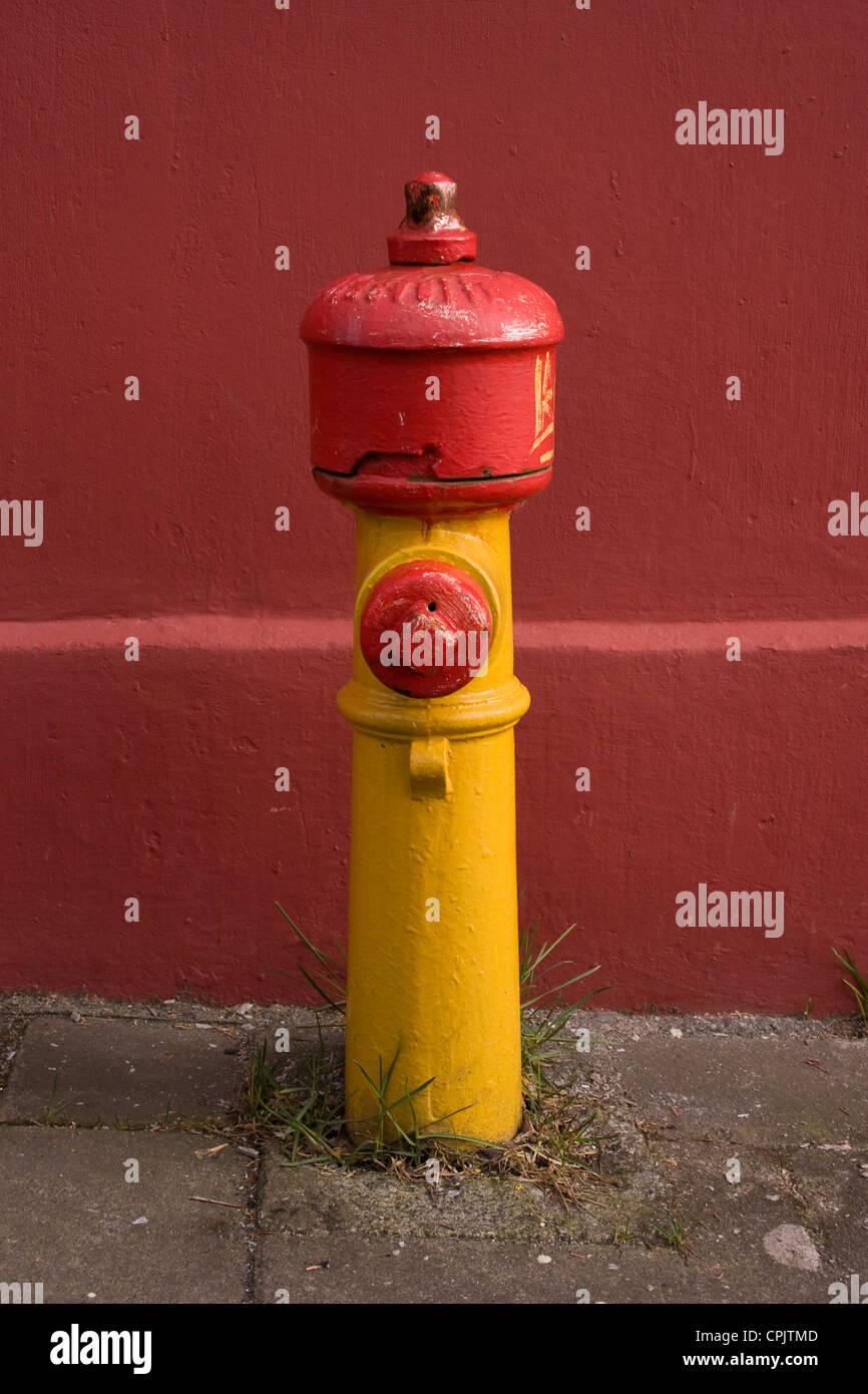 A fire hydrant colourfully painted red and yellow on the street in ...