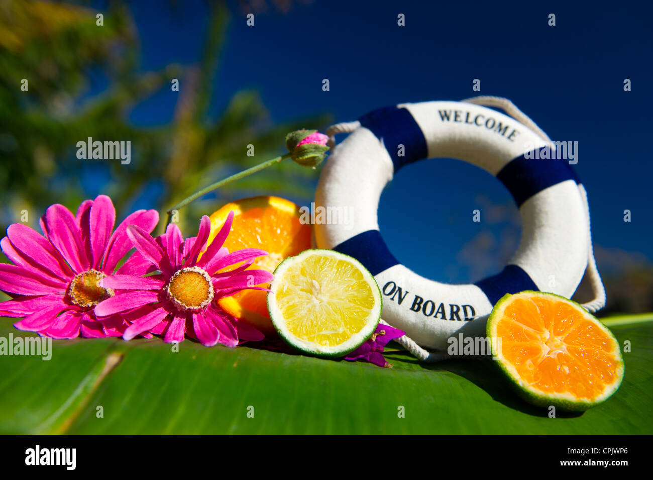 Welcome on board hi-res stock photography and images - Alamy