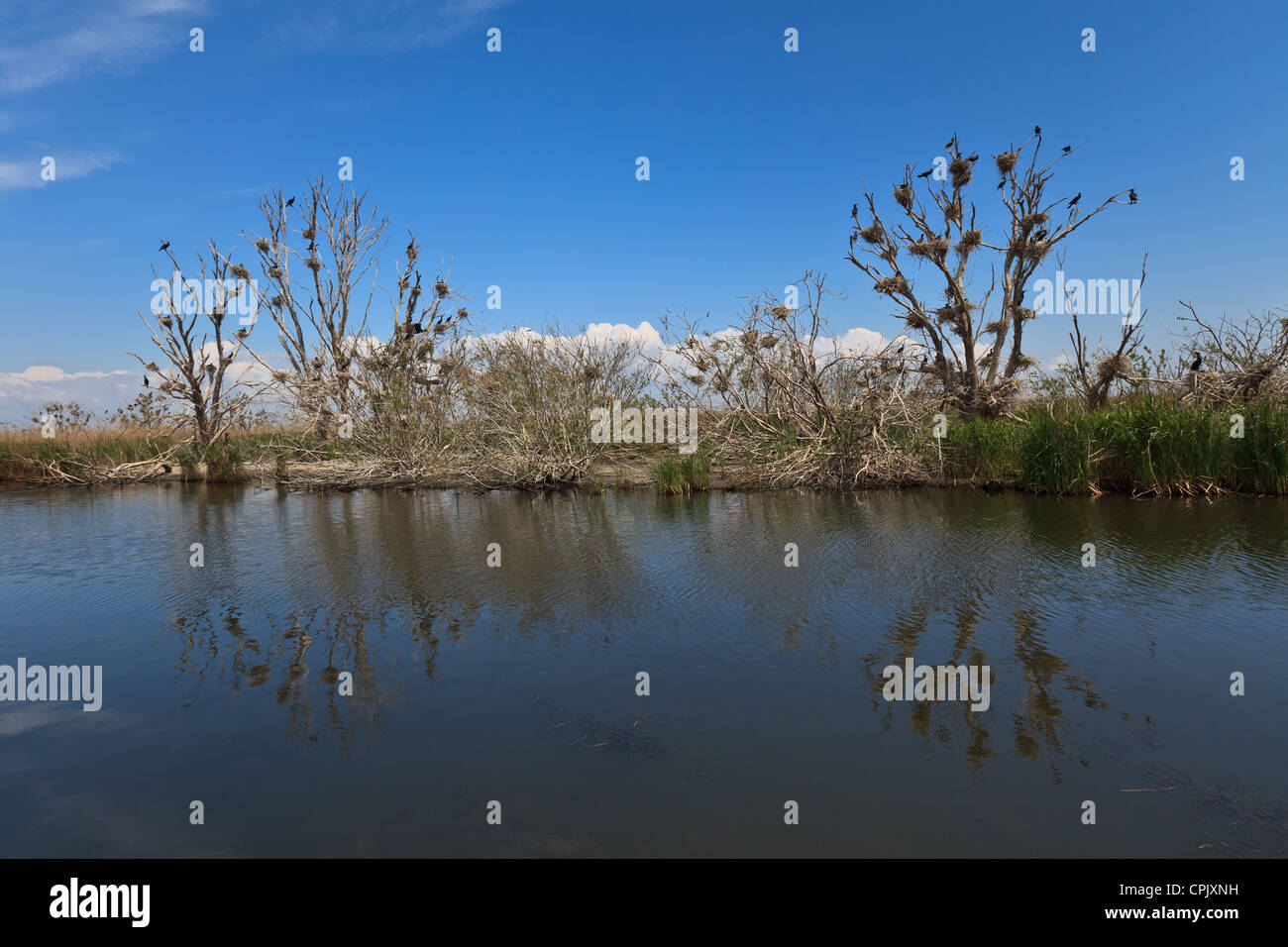 Channel wonderful hi-res stock photography and images - Alamy