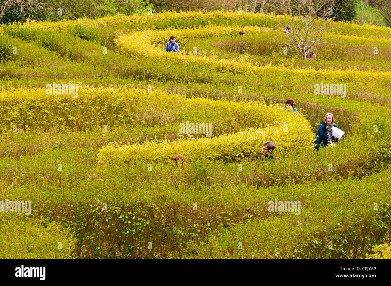 Rococo gardens cotswolds hi-res stock photography and images - Alamy