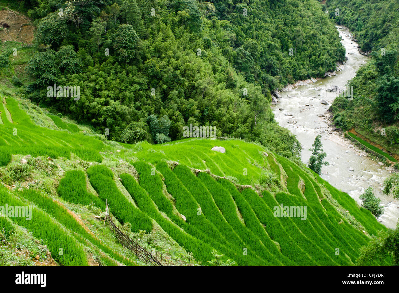 Terraced rice farm hi-res stock photography and images - Alamy