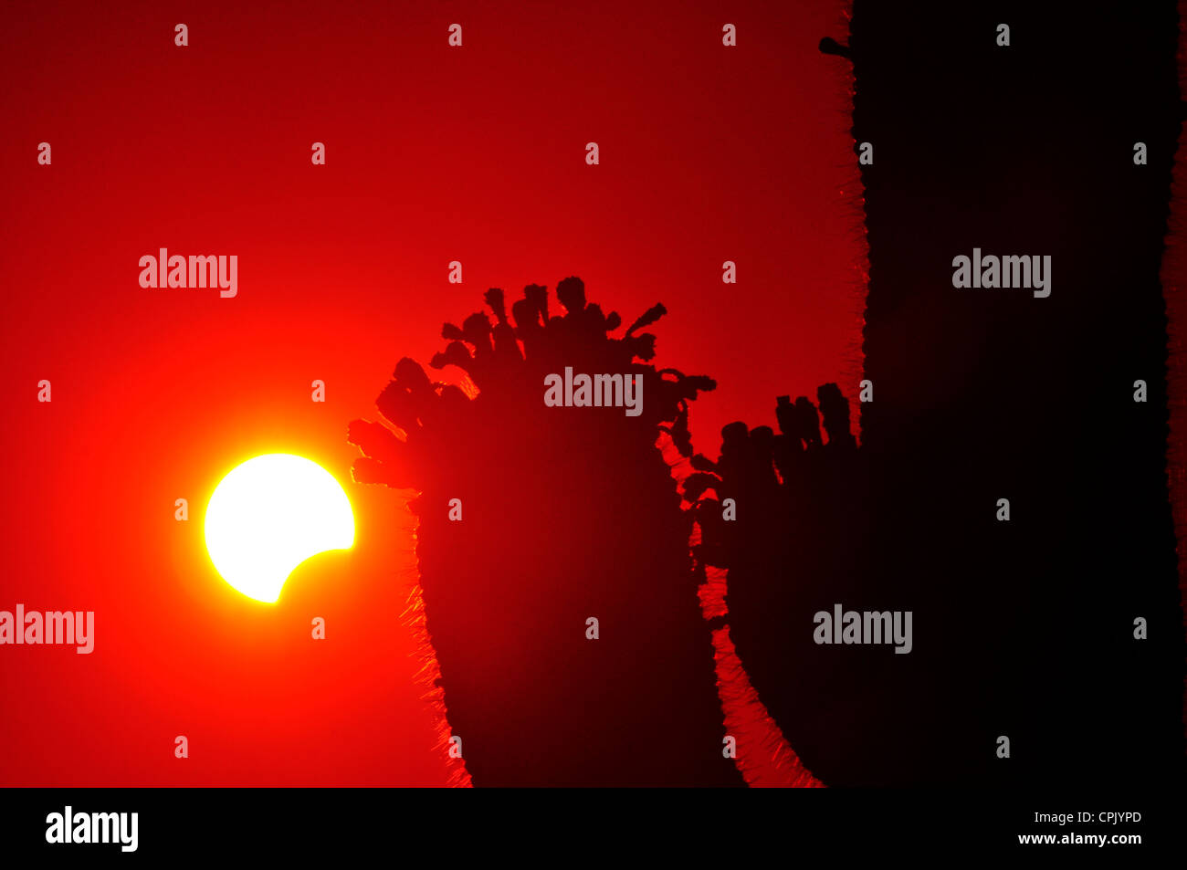 An annular solar eclipse in progress is seen from Ironwood Forest ...