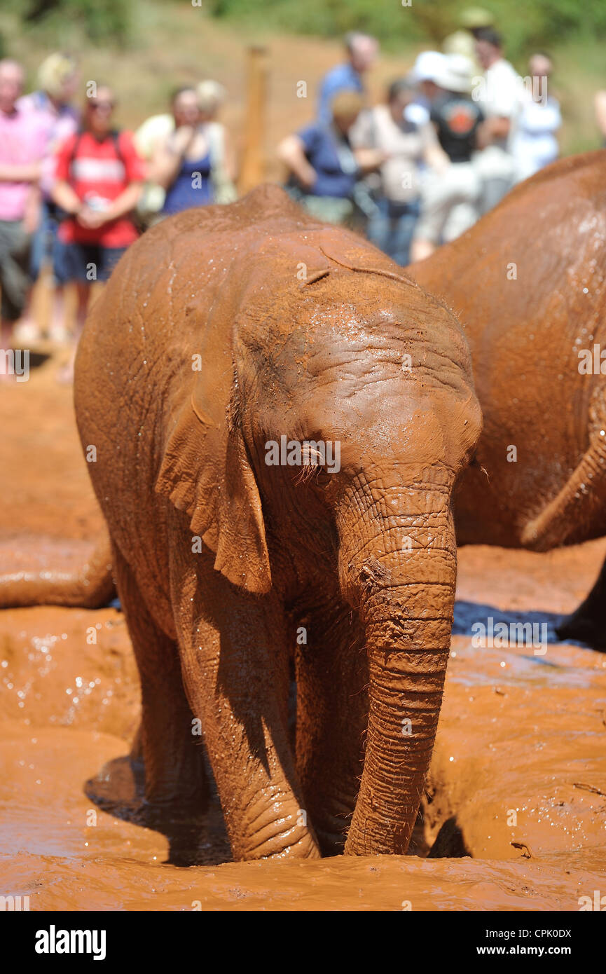 Human baby bath hi-res stock photography and images - Alamy