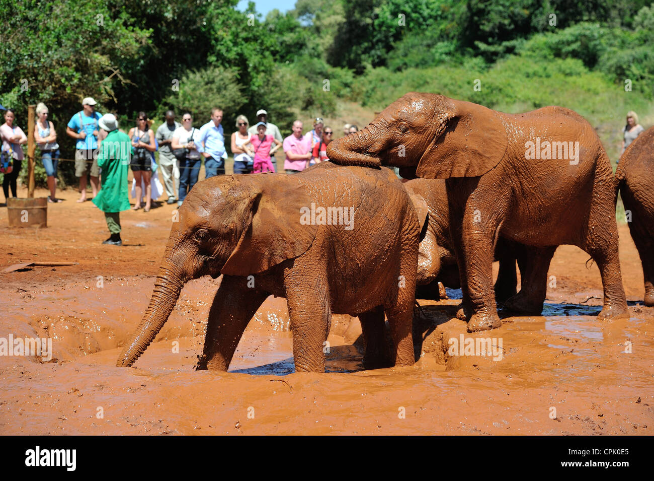 Human baby bath hi-res stock photography and images - Alamy
