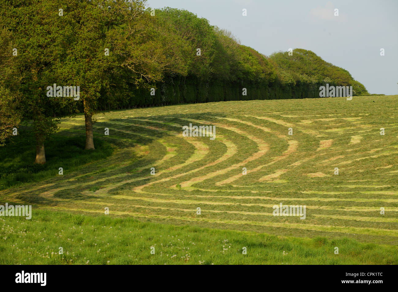 Strips field hi-res stock photography and images - Alamy