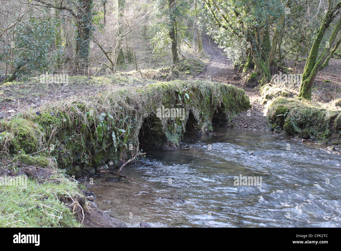 Moss covered bridge hi-res stock photography and images - Alamy