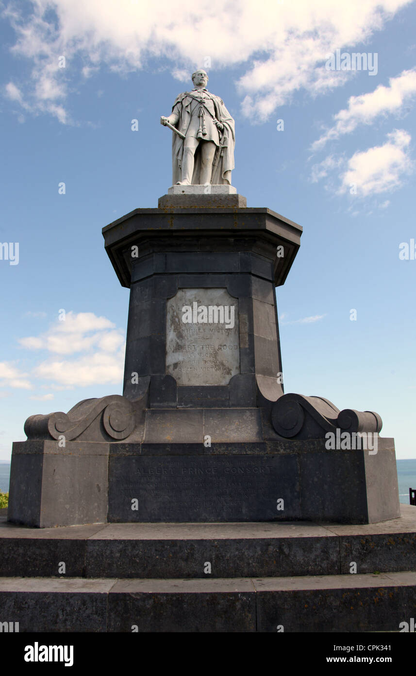 The Welsh National Monument to Prince Albert in Tenby Stock Photo - Alamy