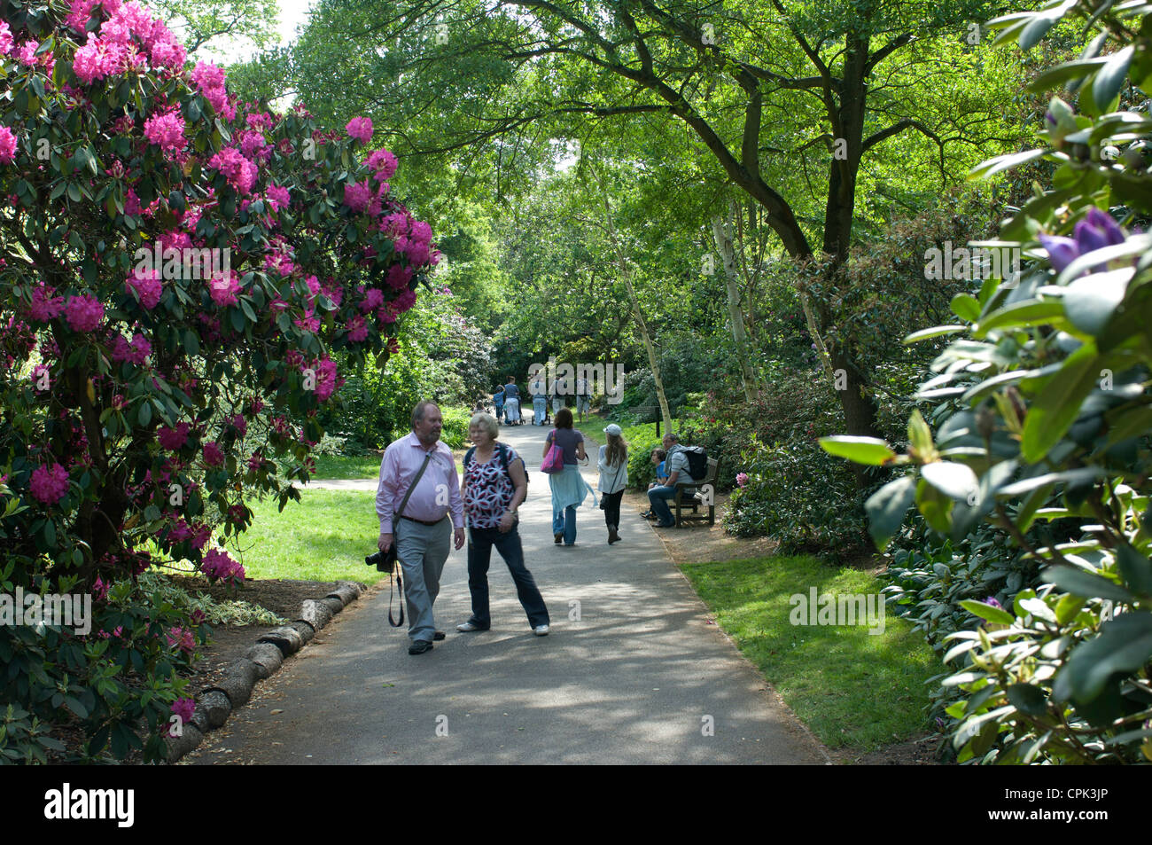Kew, Palace, Royal botanic gardens, London, GB Stock Photo - Alamy