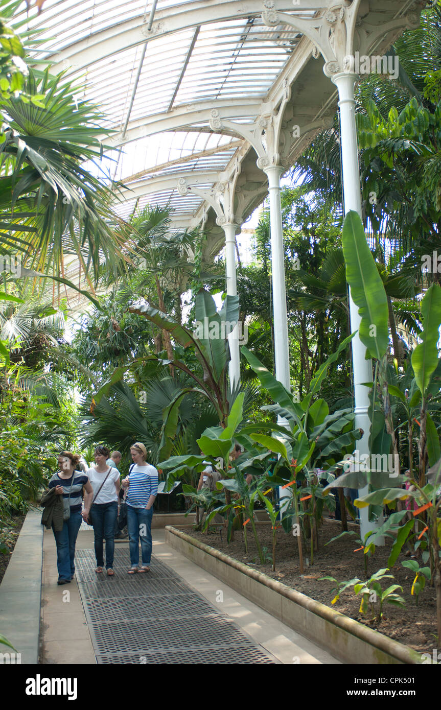 Visitors inside the Palm House, Royal Botanic Gardens, Kew, London, GB ...