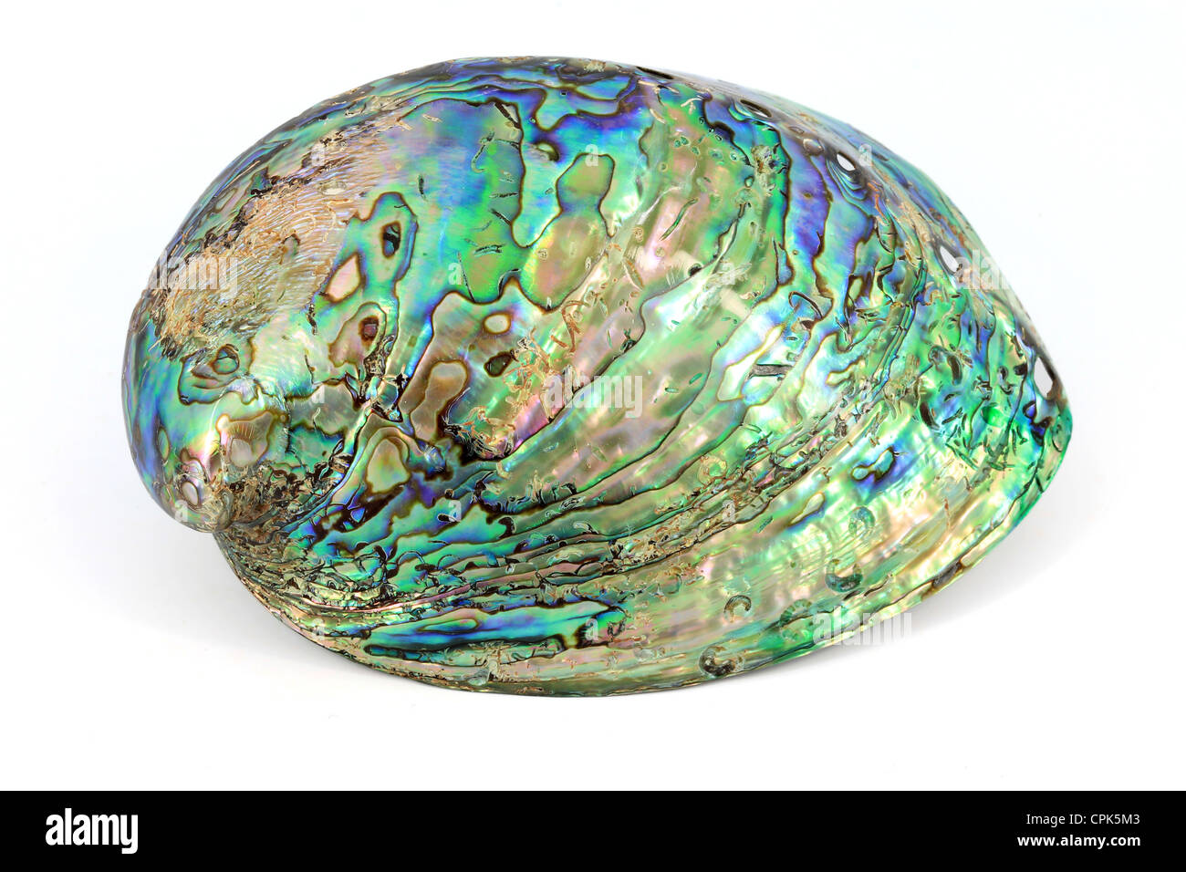 Haliotis cuisine hi-res stock photography and images - Alamy