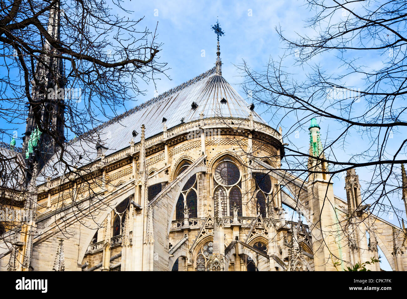 Detail of gothic Cathedral of Notre Dame in Paris Stock Photo - Alamy