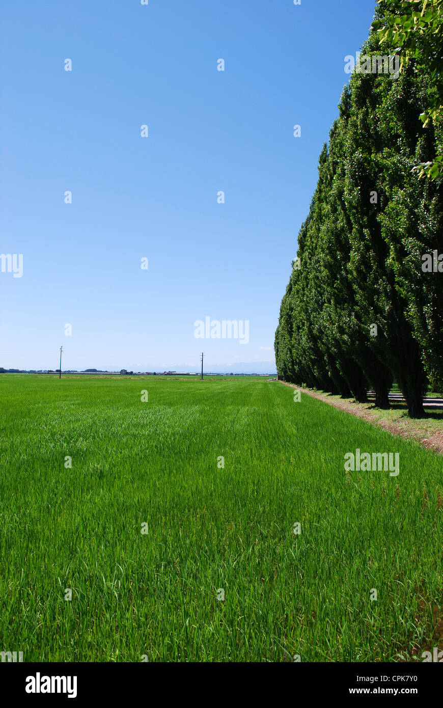 Flat green landscape hi-res stock photography and images - Alamy