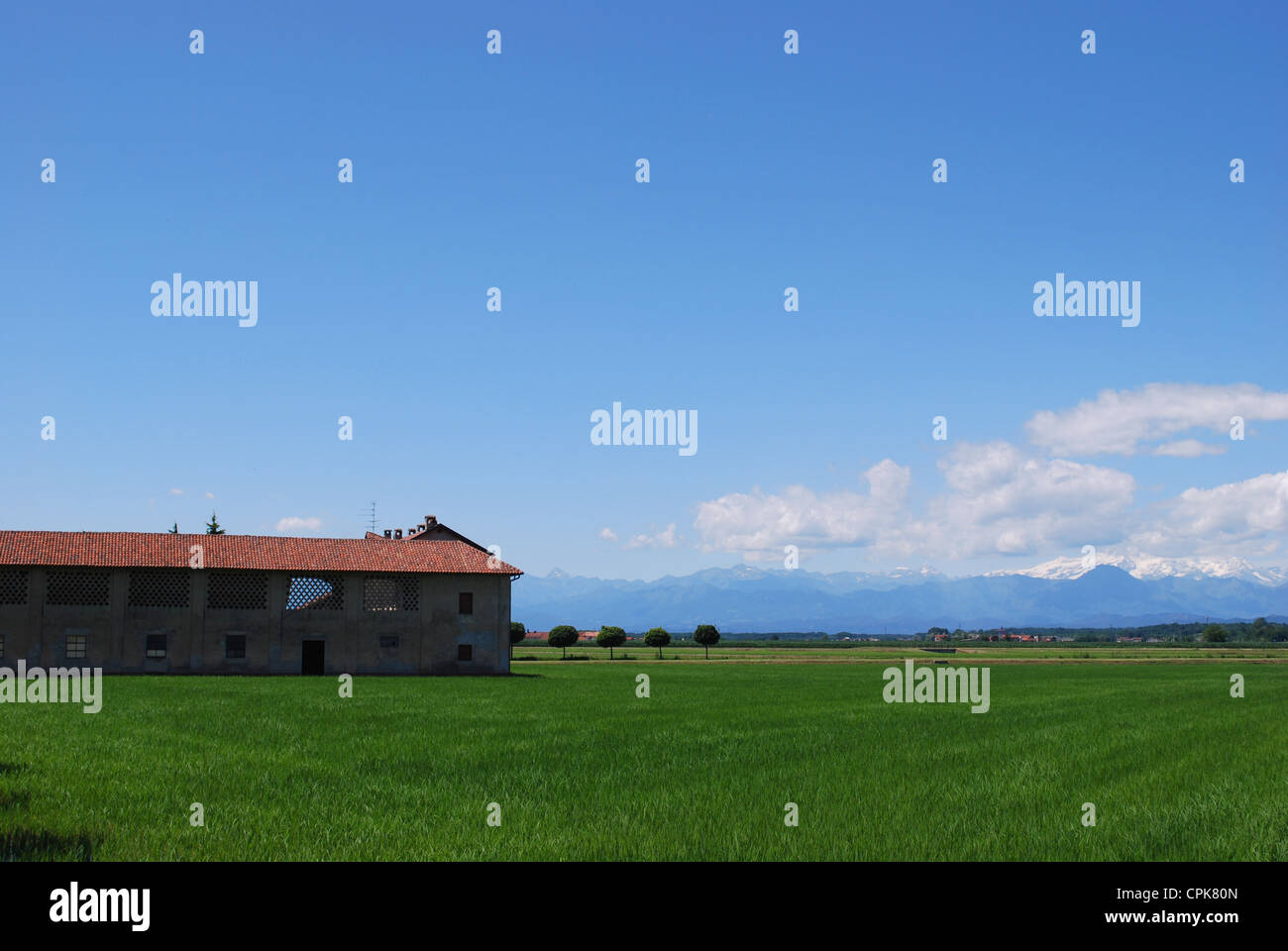 Farm house and flat farmland in summer, Alps mountains in background ...