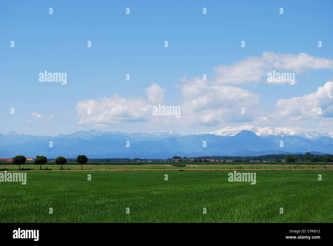 Flat farmland in summer, Alps mountains in background, Po Valley ...