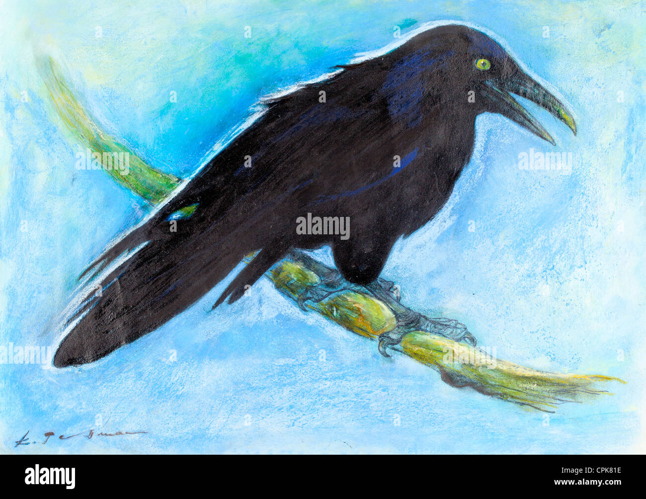 Crow portrait - pastel chalk on paper by Kurt Tessmann Stock Photo - Alamy