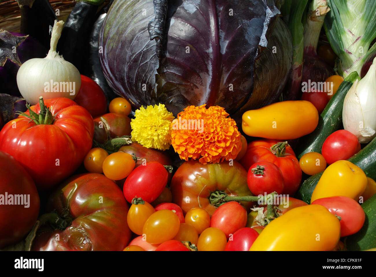 Selection of fresh colorful summer vegetables as a background Stock ...