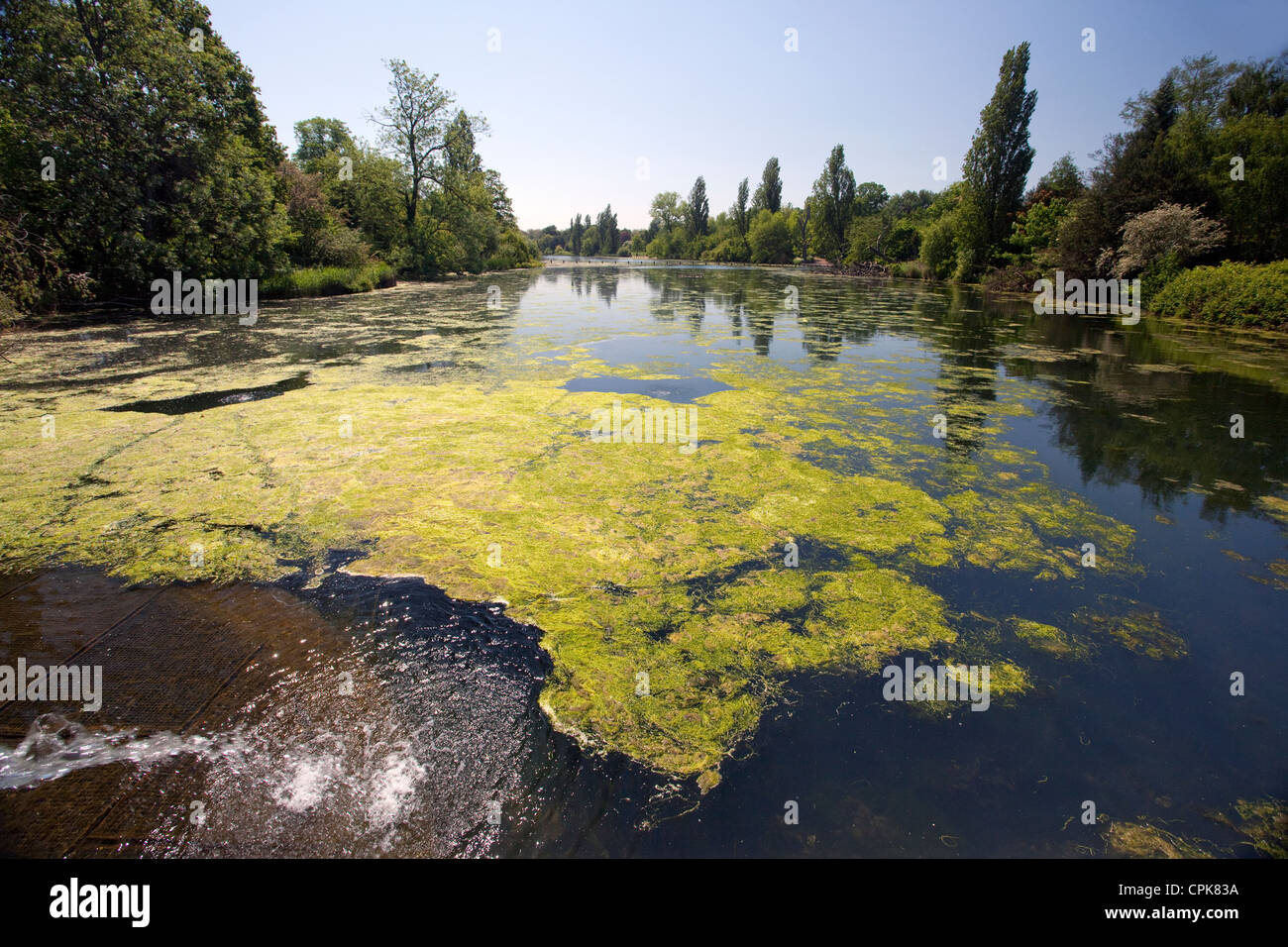 Water for gardens hi-res stock photography and images - Alamy