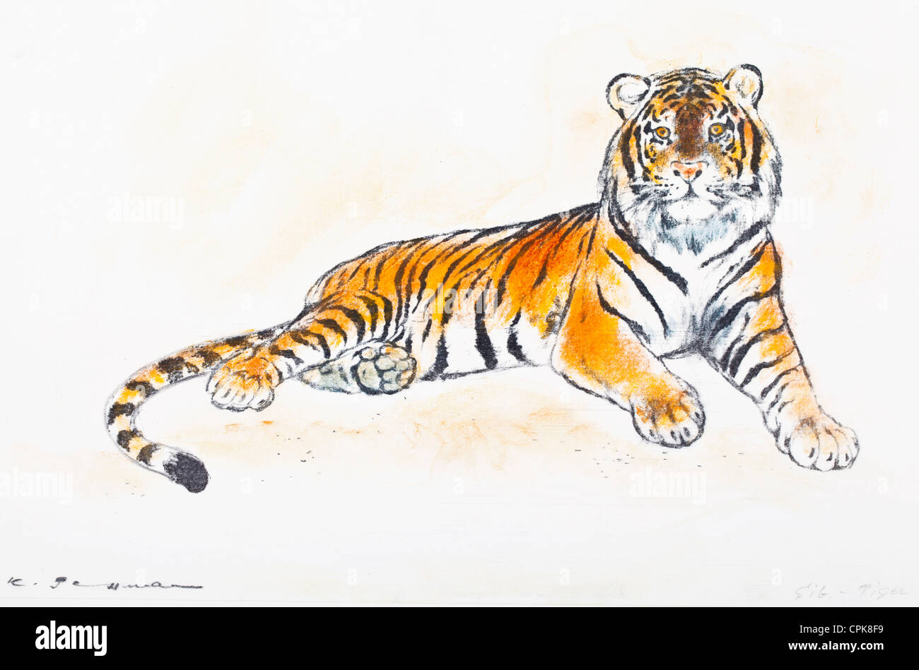 Siberian tiger (Panthera tigris altaica) - pastel chalk on paper by ...