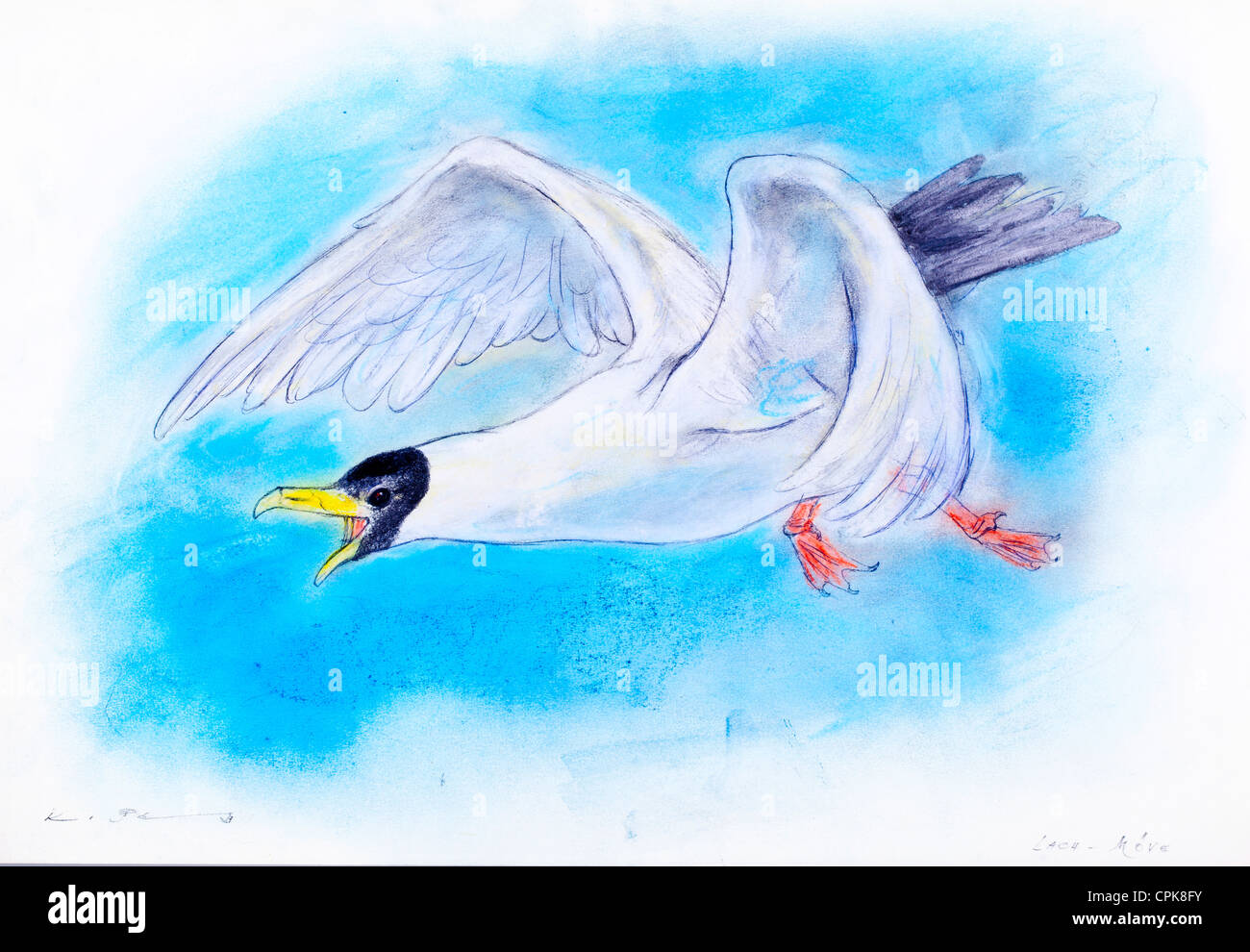 Bird animal painting art illustration pastel chalk drawing hi-res stock ...