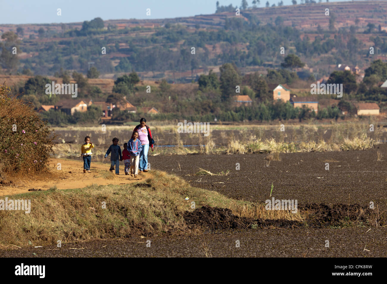 Andraikiba hi-res stock photography and images - Alamy