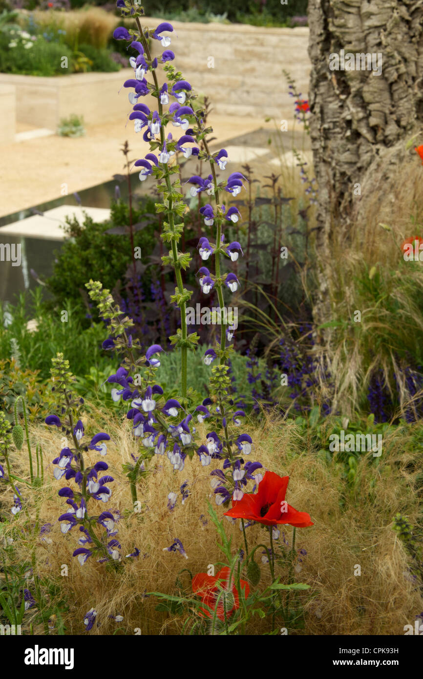 A view of the planting in the Arthritis Research UK Garden at RHS ...