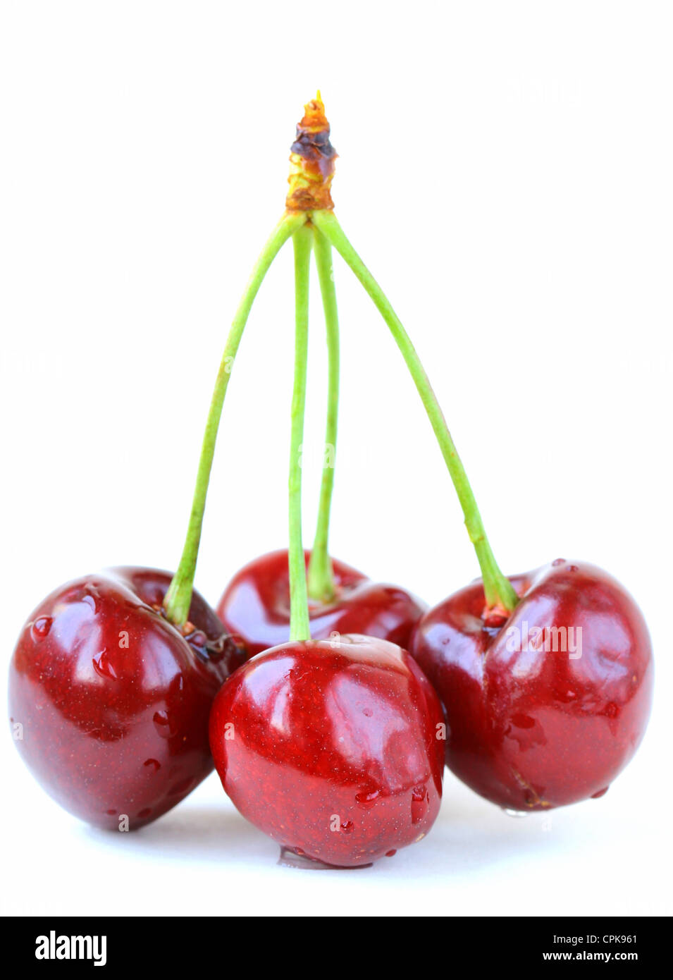 four ripe juicy berry cherries on a white background Stock Photo - Alamy