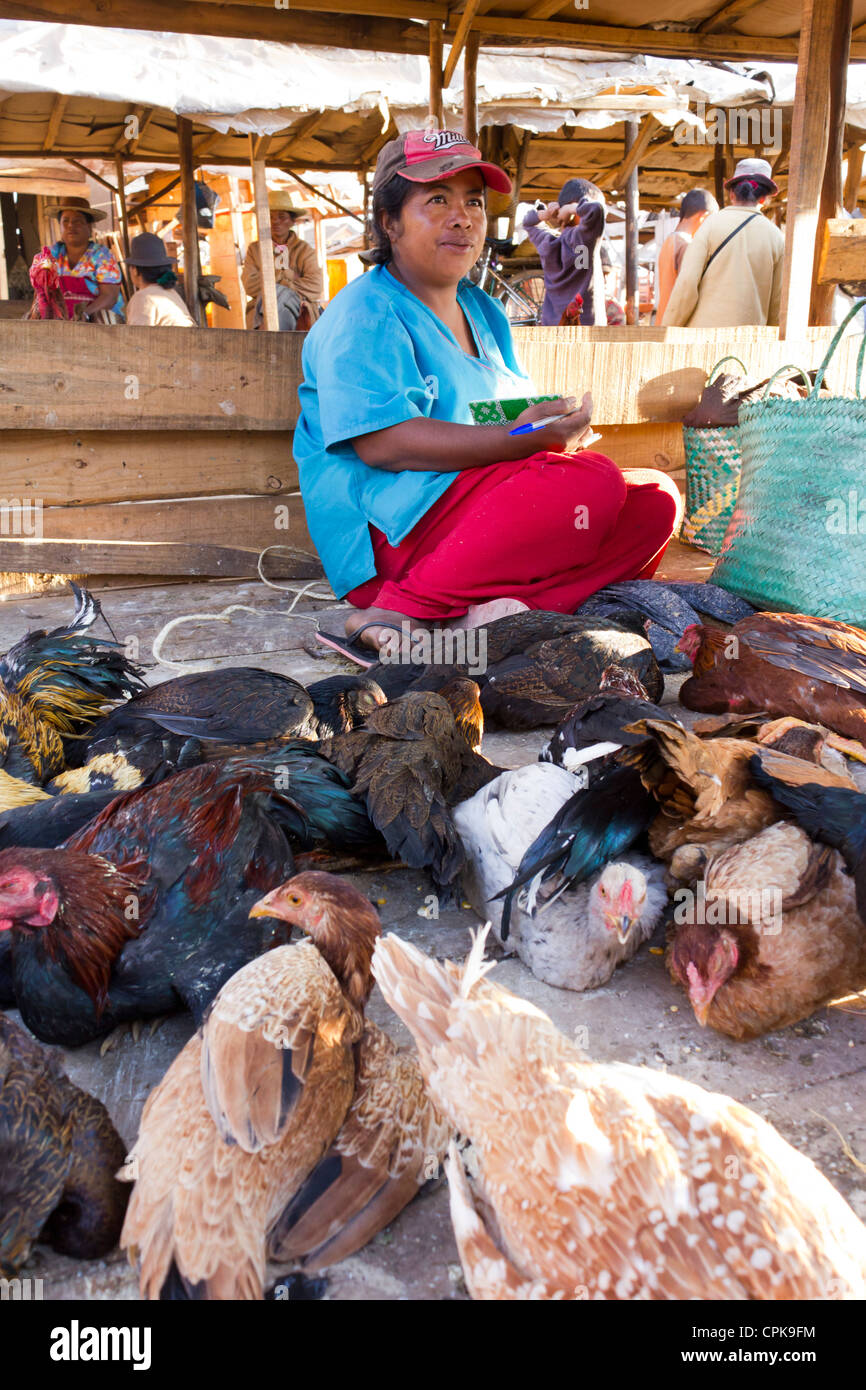Selling chickens hi-res stock photography and images - Alamy