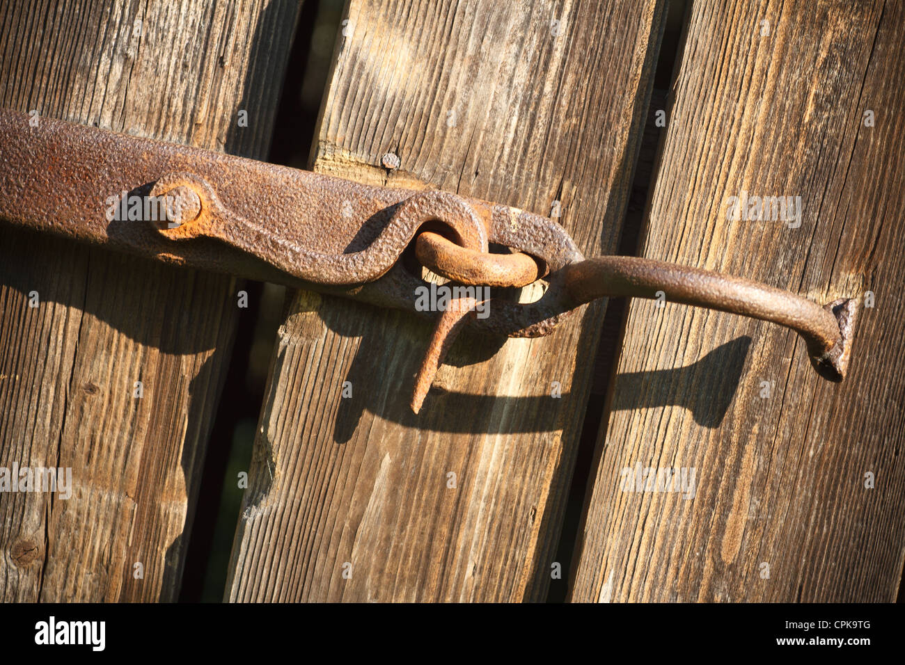 Old rusty staple on a wooden shed Stock Photo - Alamy