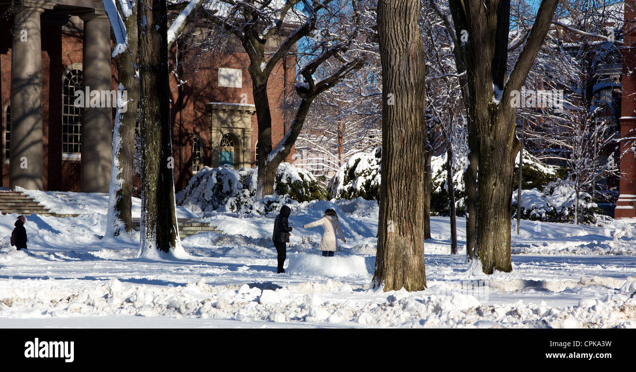 Harvard Yard, the old center of Harvard University campus, frosted in ...