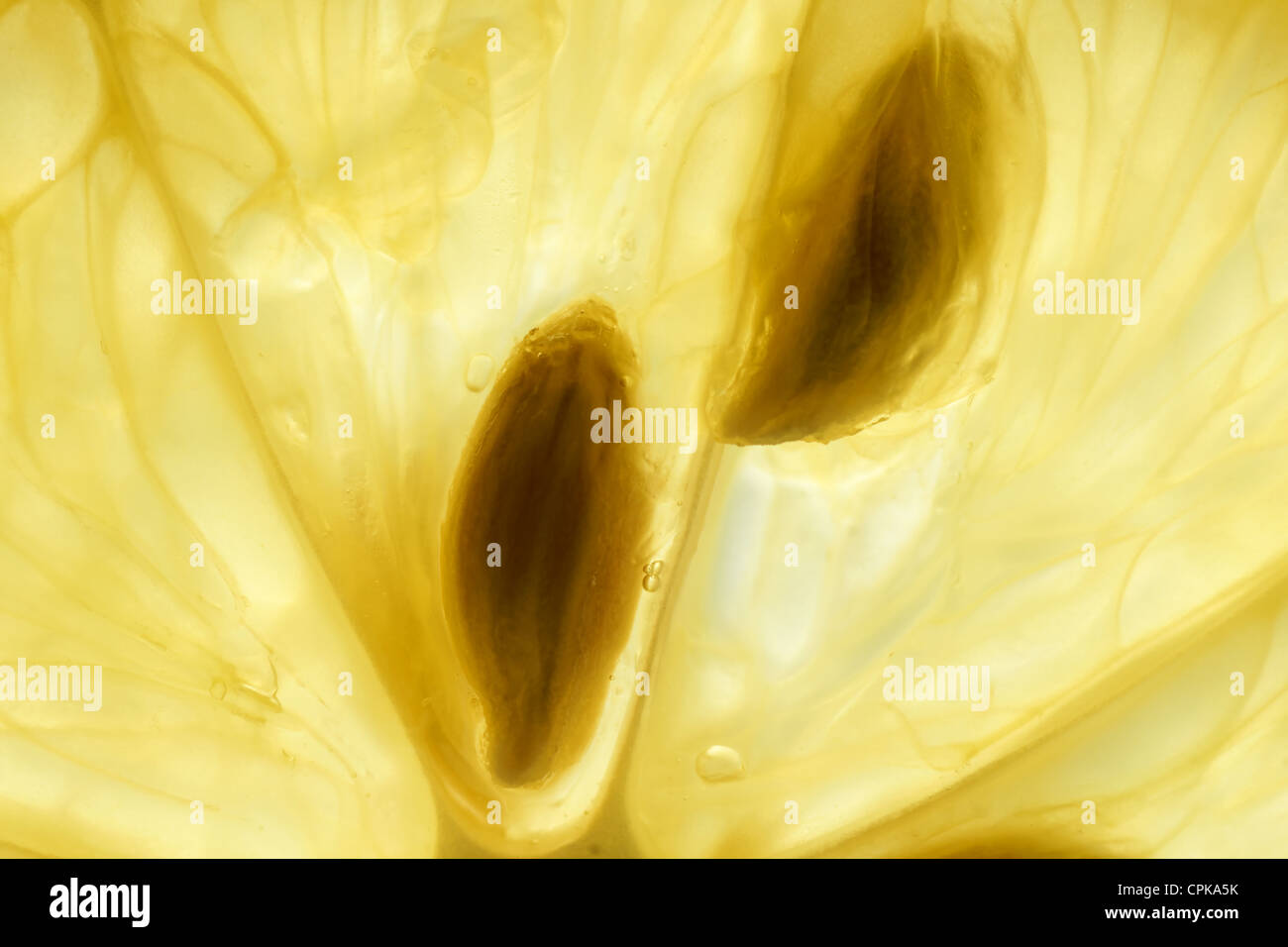 Great detail macro of a lemon slice against window to make it see ...