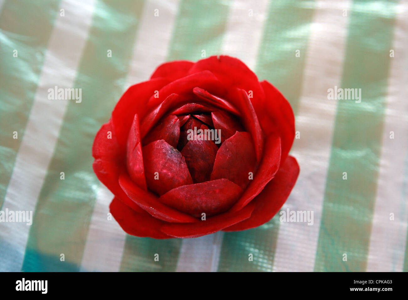 Rose with beetroot hi-res stock photography and images - Alamy