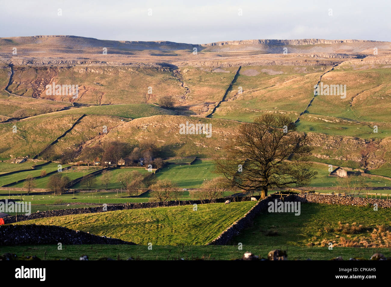 Long Scar and Crummack Dale Austwick Yorkshire Dales England Stock ...