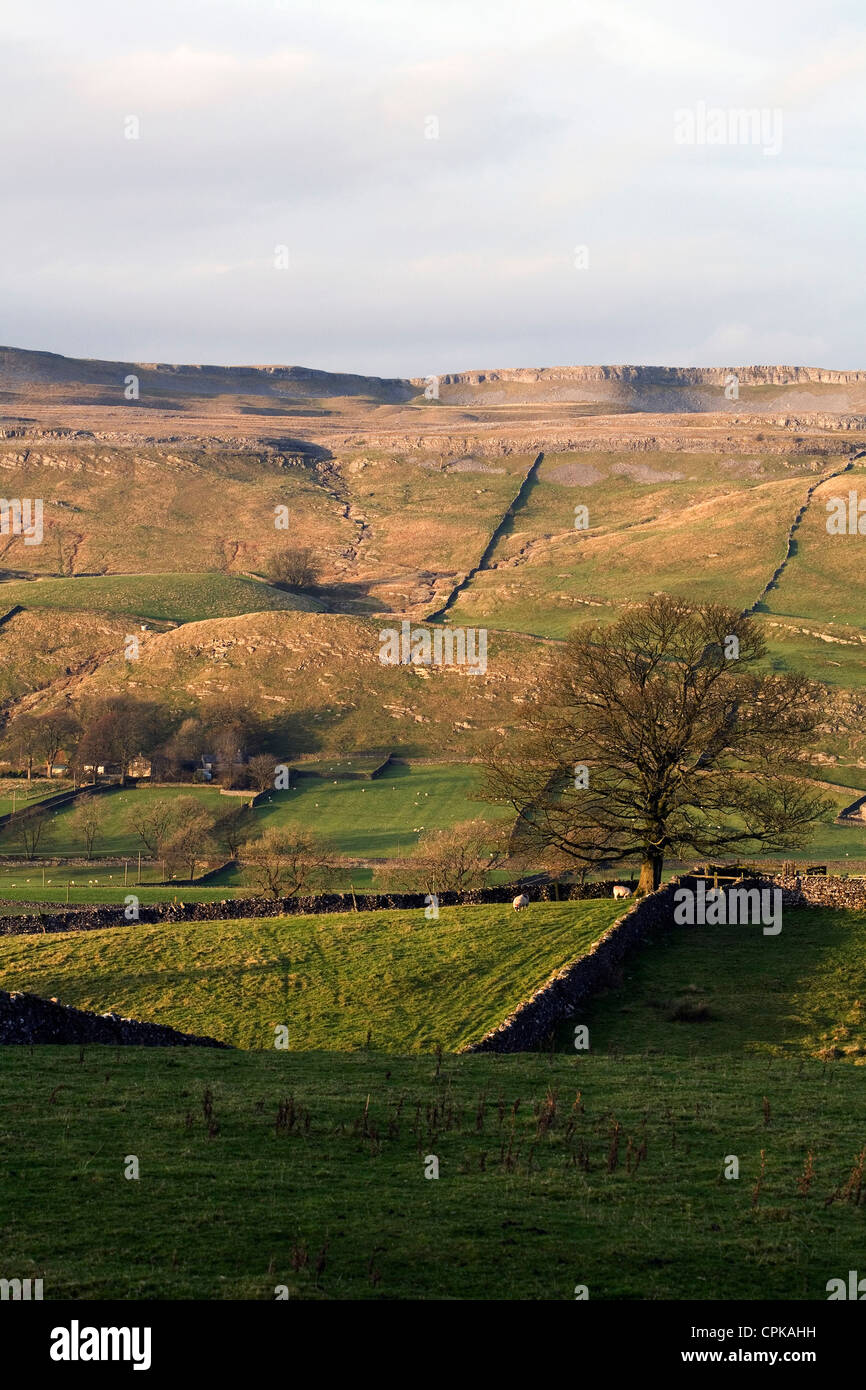 Long Scar and Crummack Dale Austwick Yorkshire Dales England Stock ...