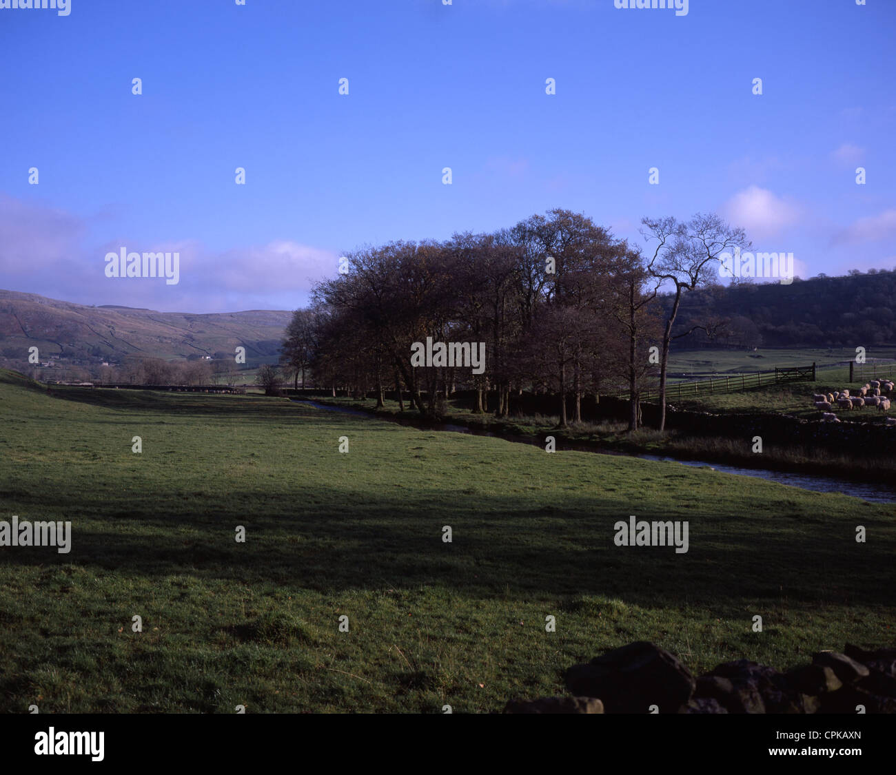 Austwick Beck with Studrigg Scar and Long Scar in the background winter ...