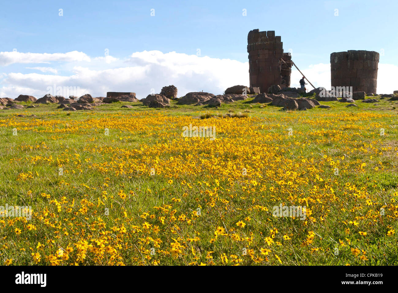 Sillustani chullpas (towers), Peru, near Titicaca lake (Puno), on the ...